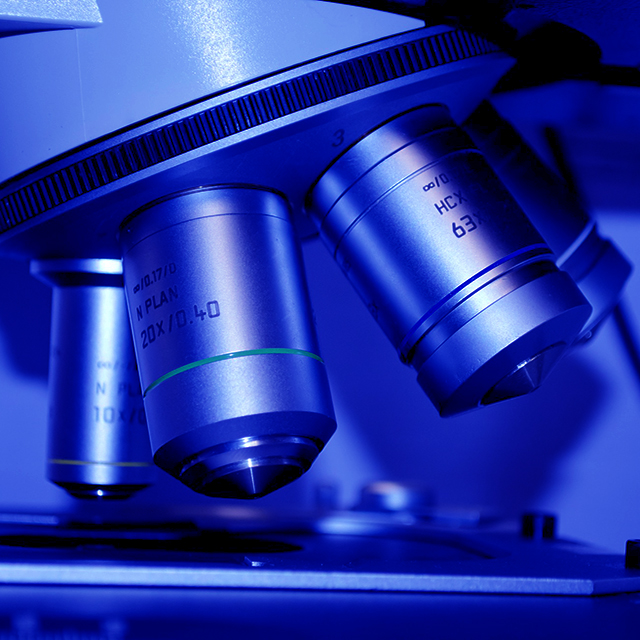 CI Computational Intelligence Oy – Mastering Computational Intelligence